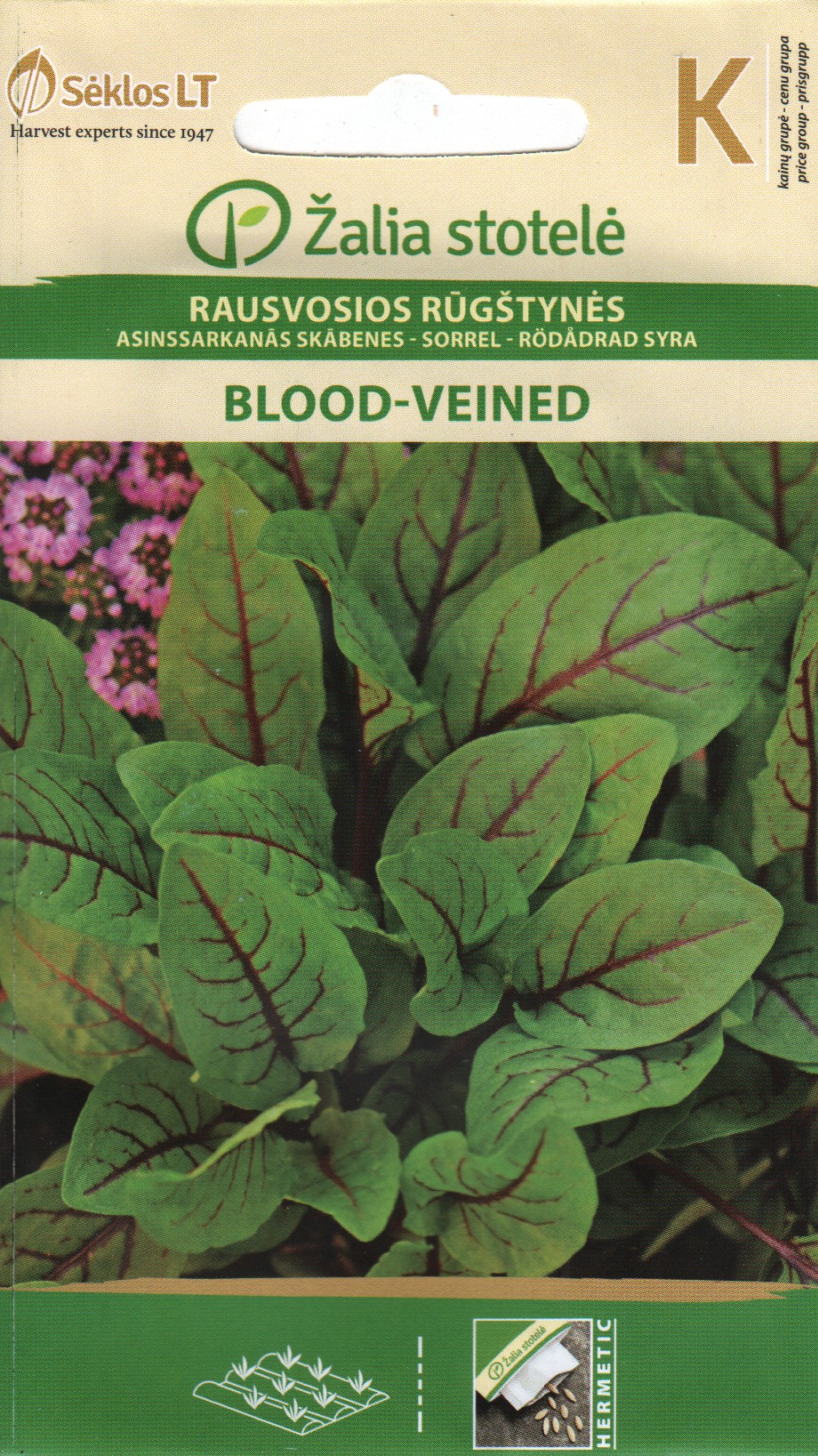 Verev oblikas "Blood Veined" - seemned.ee